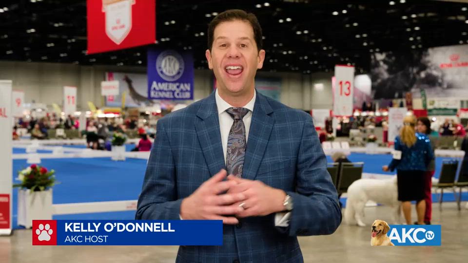 Full Show | AKC.tv