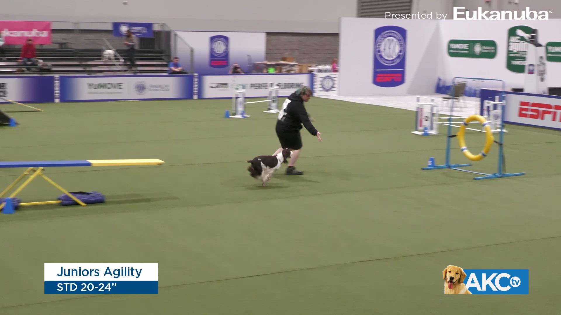 Juniors STD 20-24 Inch | AKC.tv