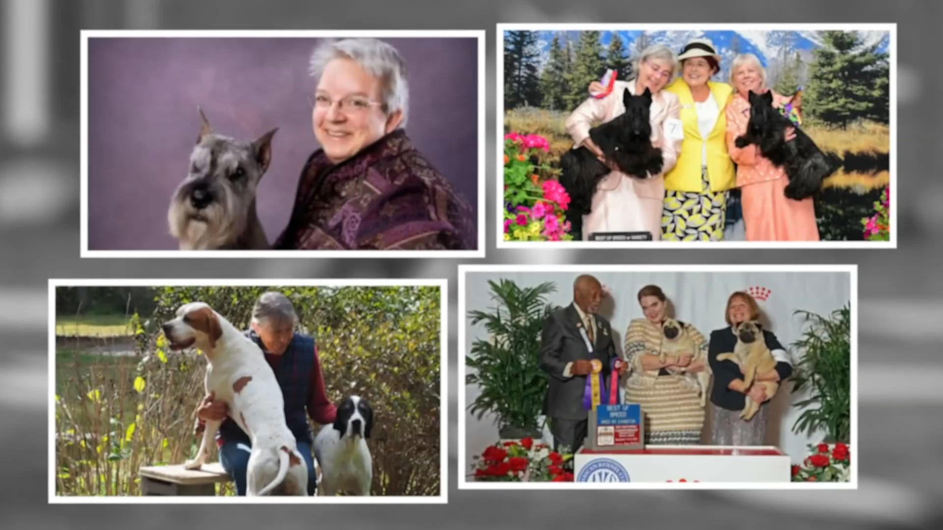 Best NOHS in Show | AKC.tv