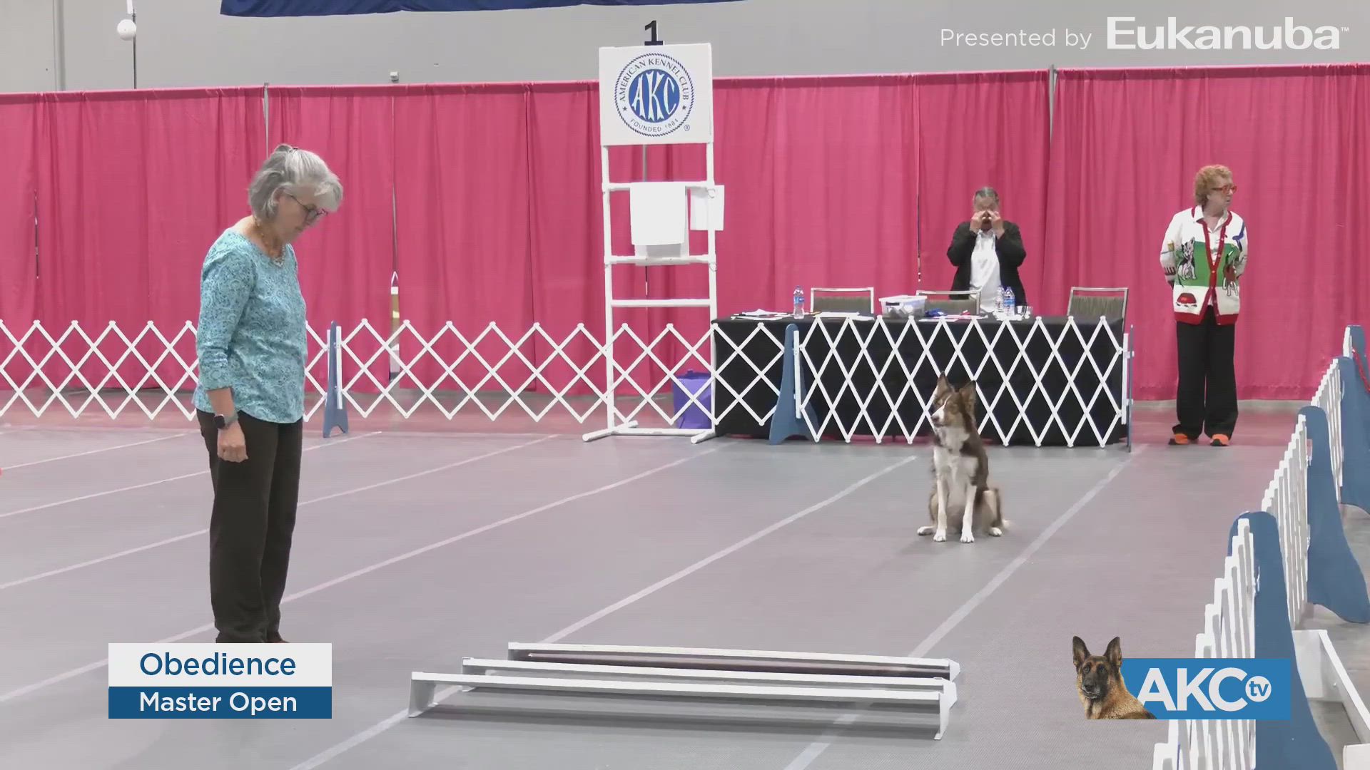 Master Open - Saturday Pt. 2 | AKC.tv