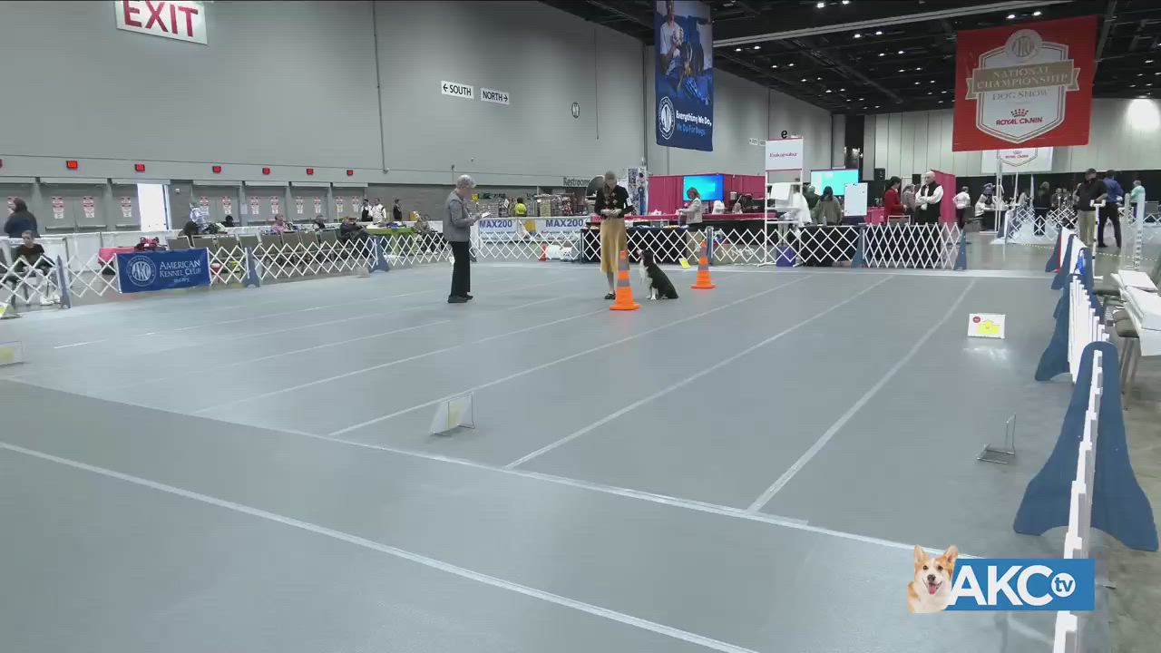 Rally Juniors - Sunday | AKC.tv