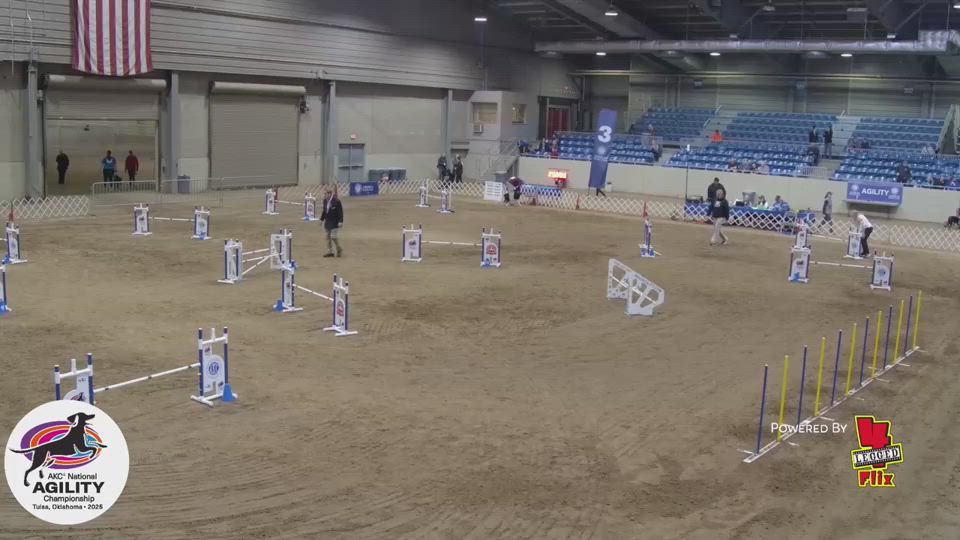 JWW - 20 Inch | AKC.tv