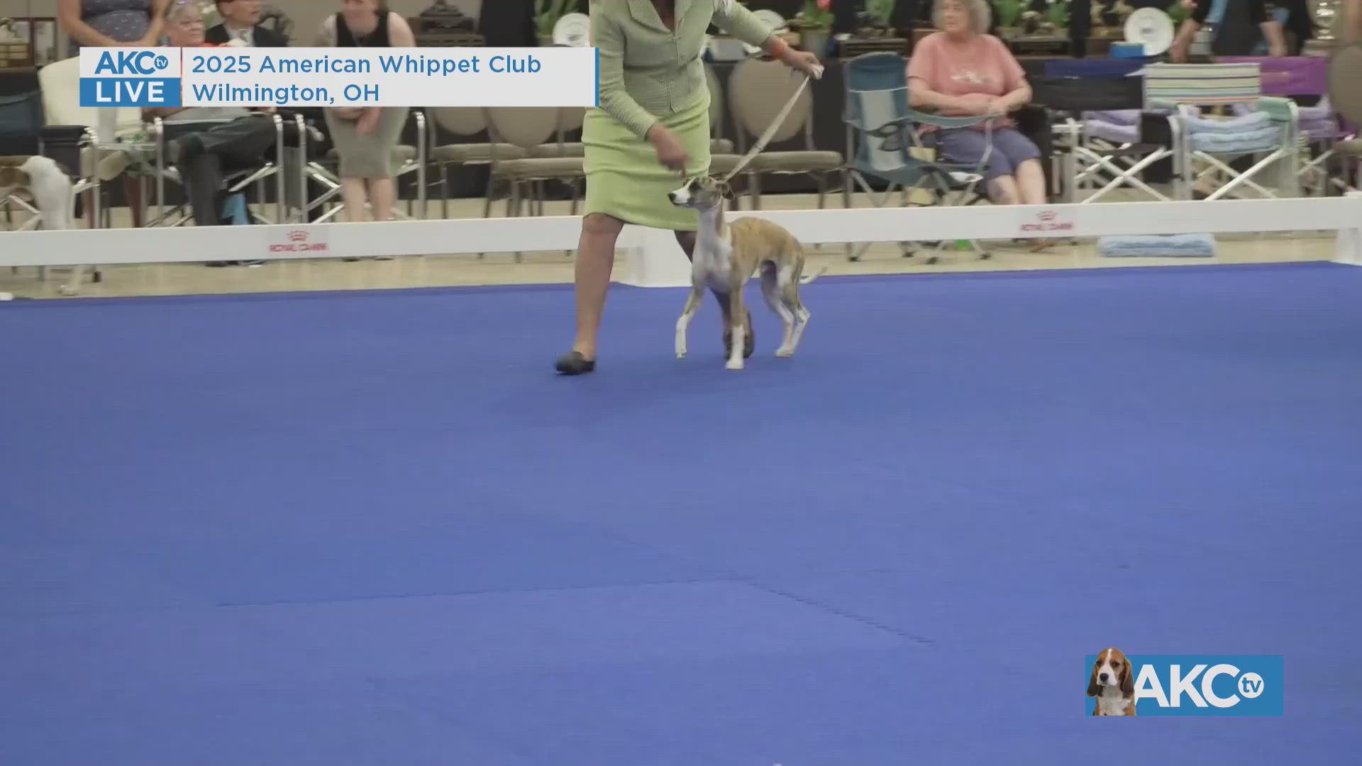 Altered Dogs | AKC.tv