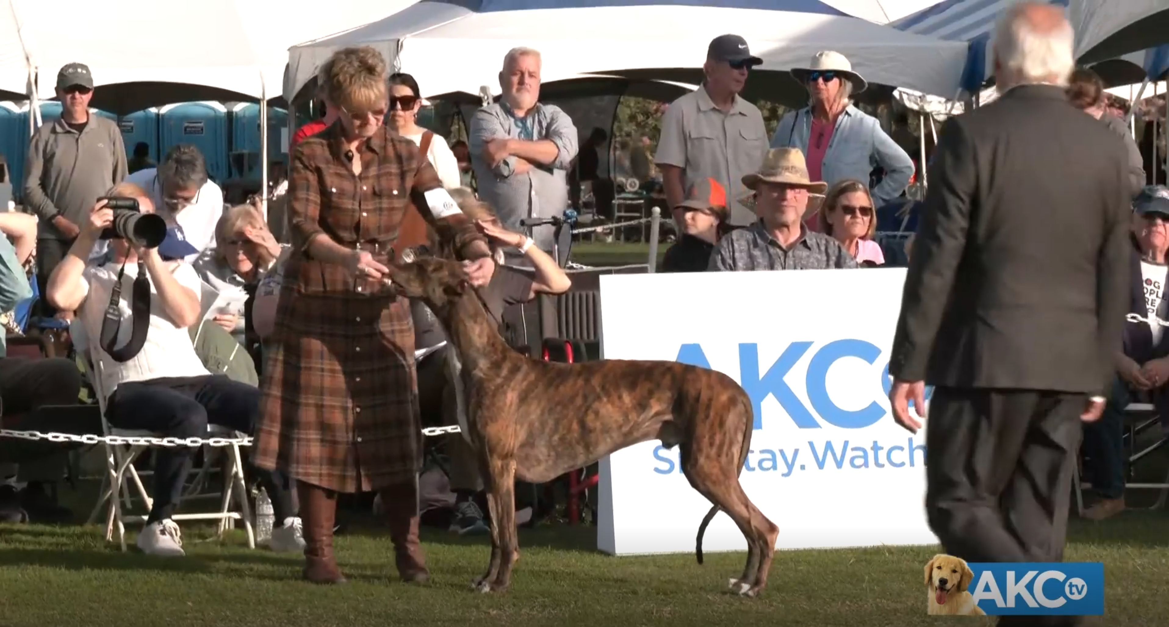Sporting Group - Saturday | AKC.tv