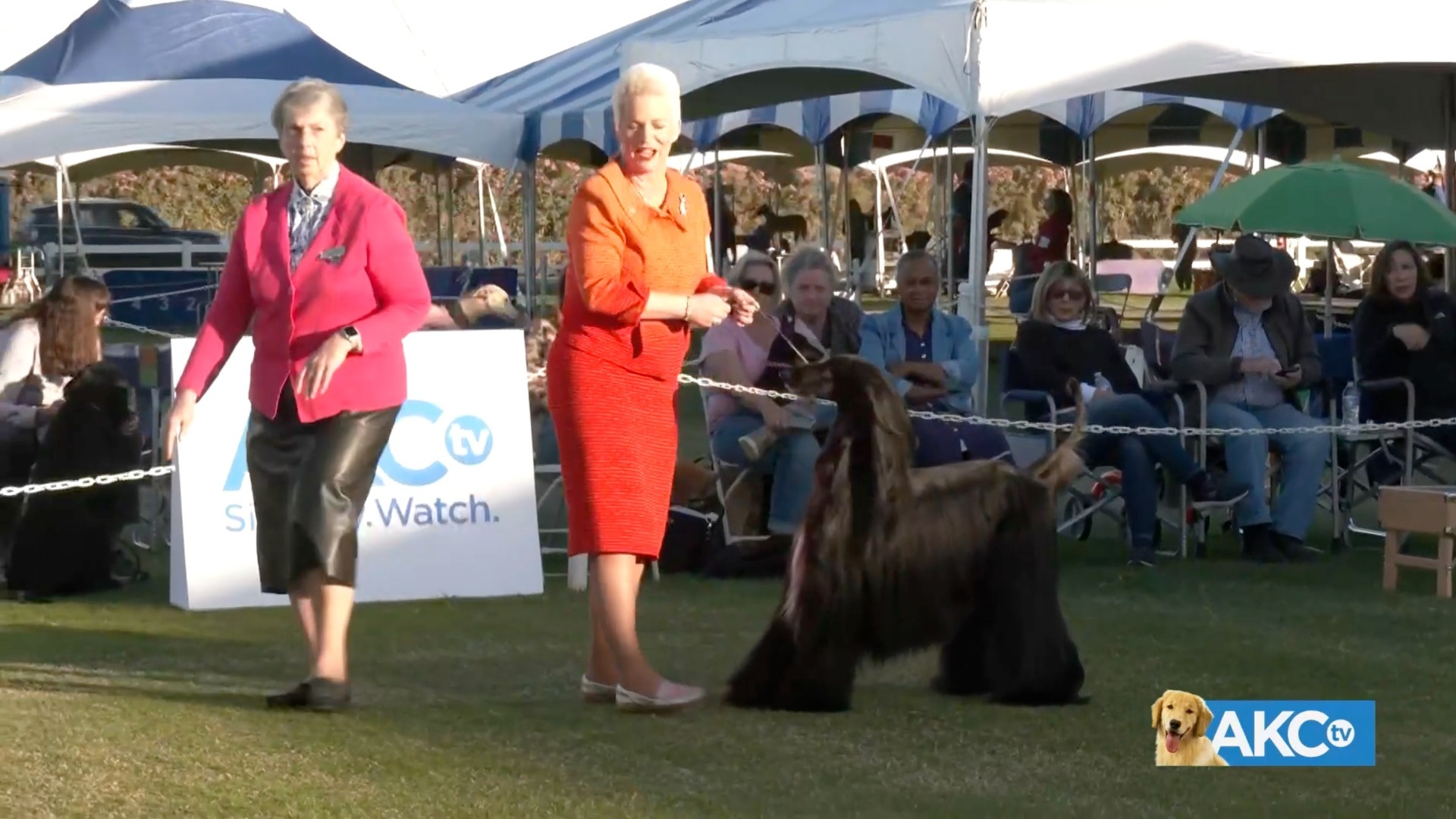 Full Show - Sunday | AKC.tv