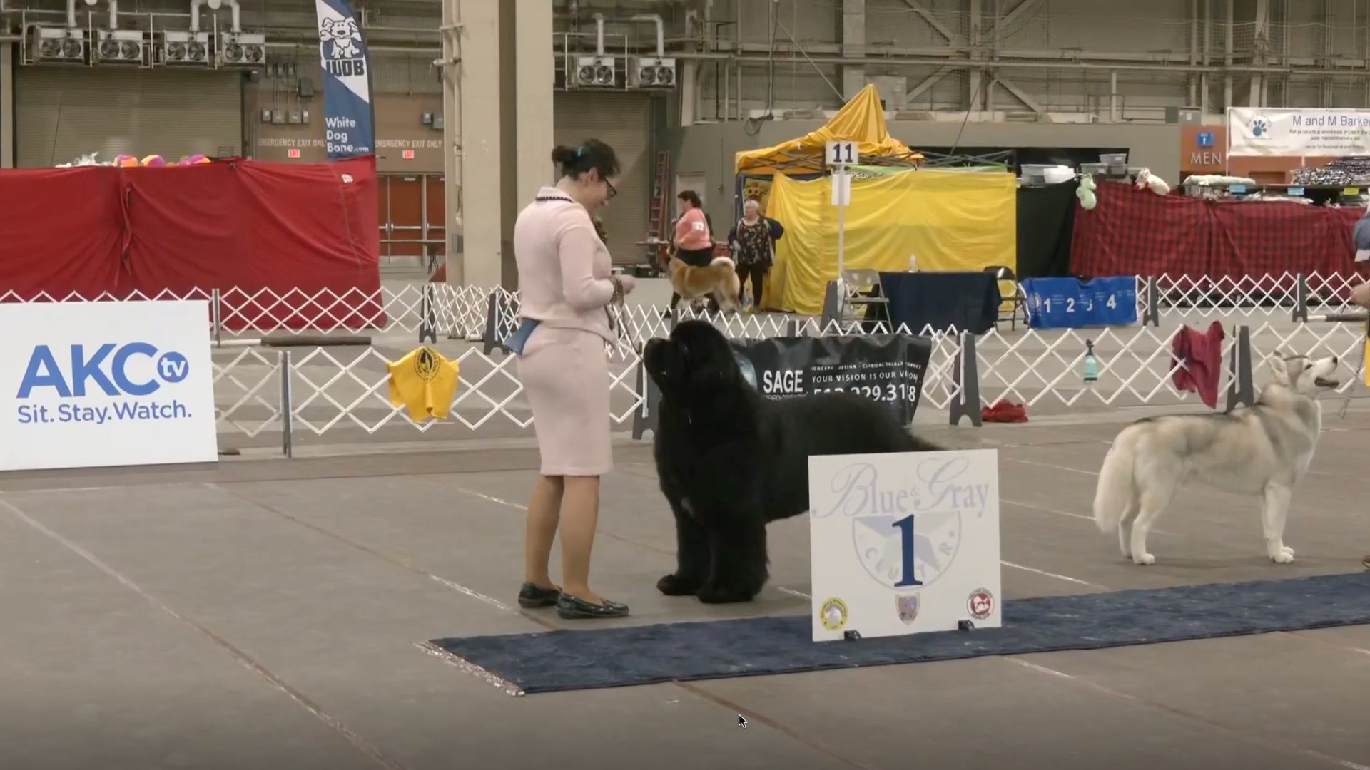 Working Group | AKC.tv