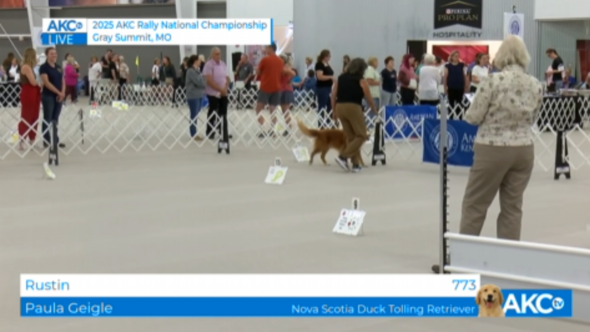 Friday Ring 5 | AKC.tv