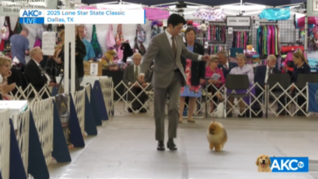 Hound Group - Friday | AKC.tv