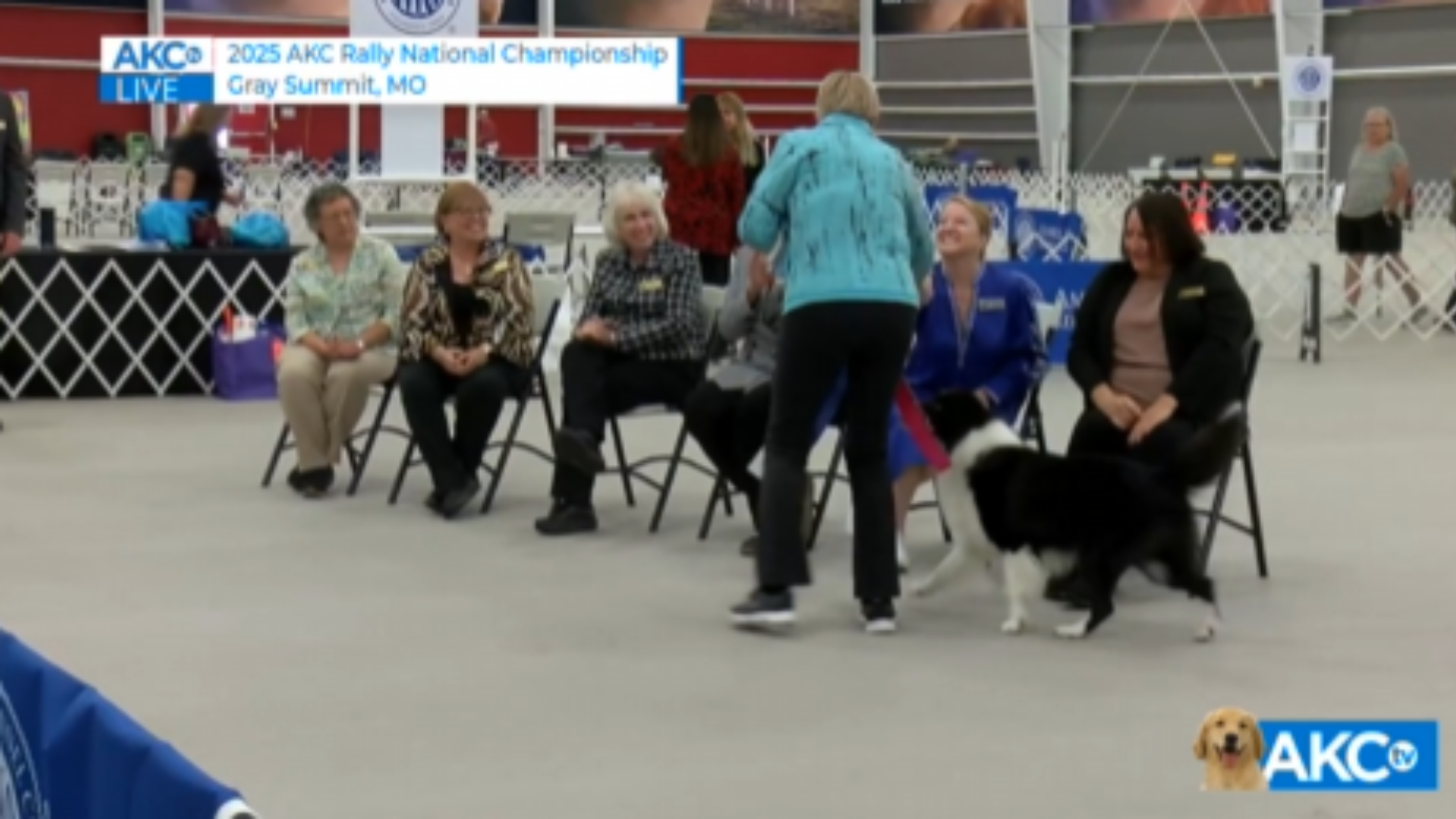 Saturday Awards | AKC.tv