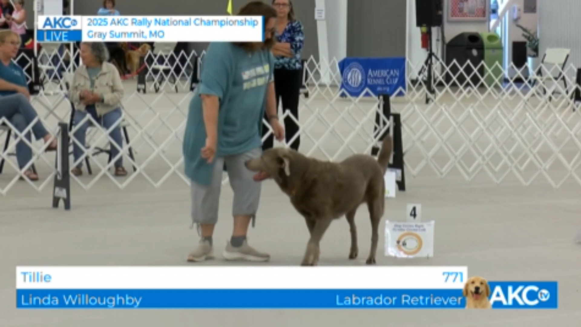 Saturday Ring 5 | AKC.tv