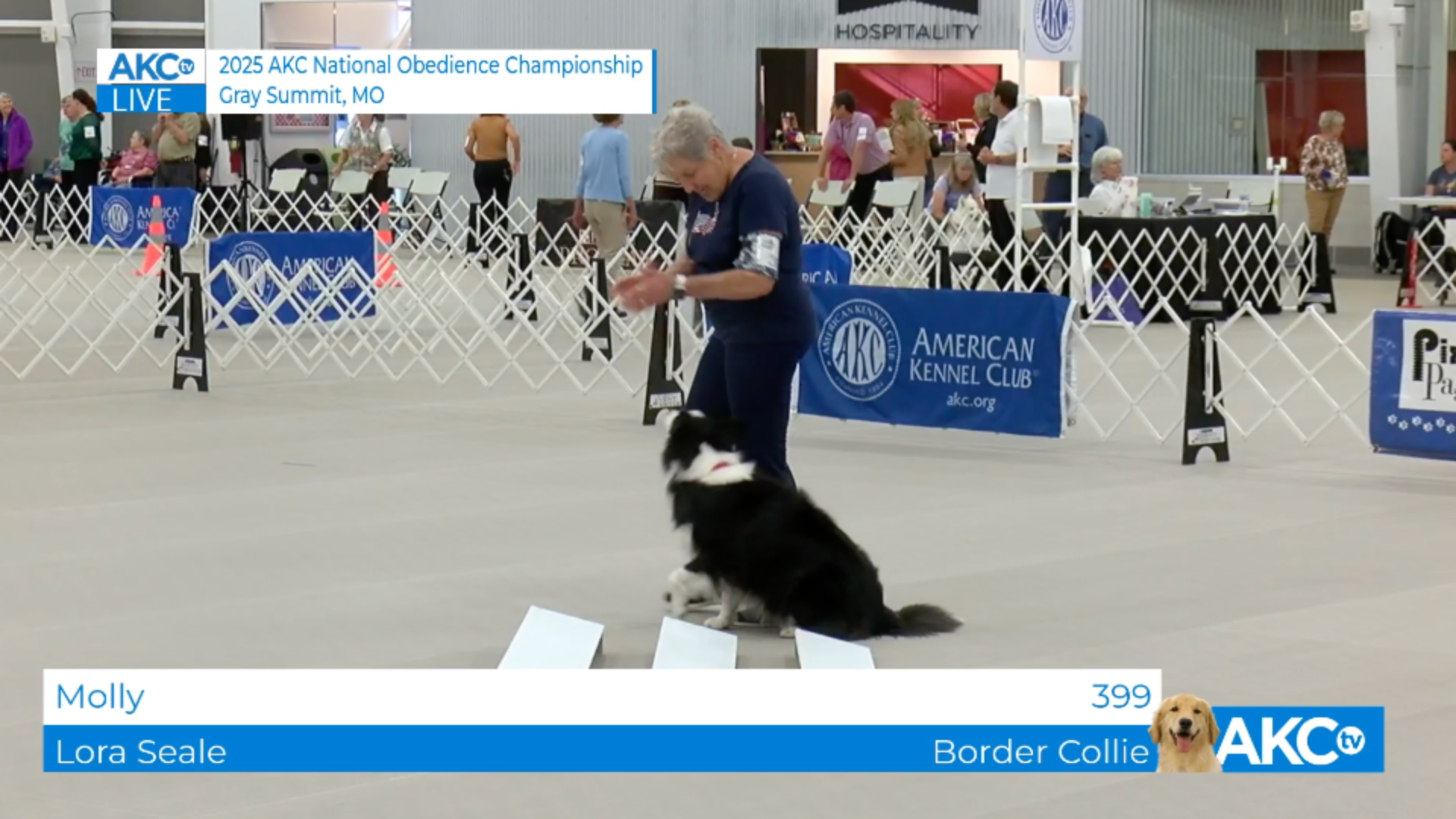 Sunday Ring 5 | AKC.tv