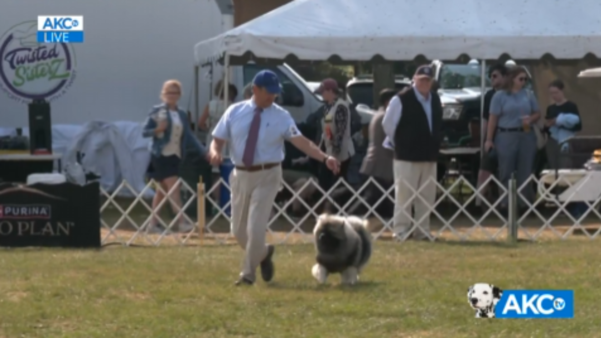 Non-Sporting Group | AKC.tv