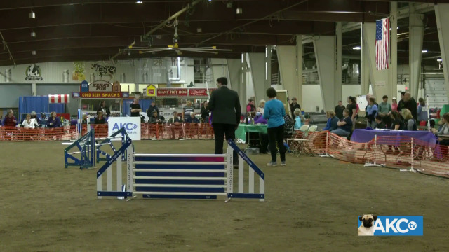 2022 LEAP Agility Club - Full Show | AKC.tv