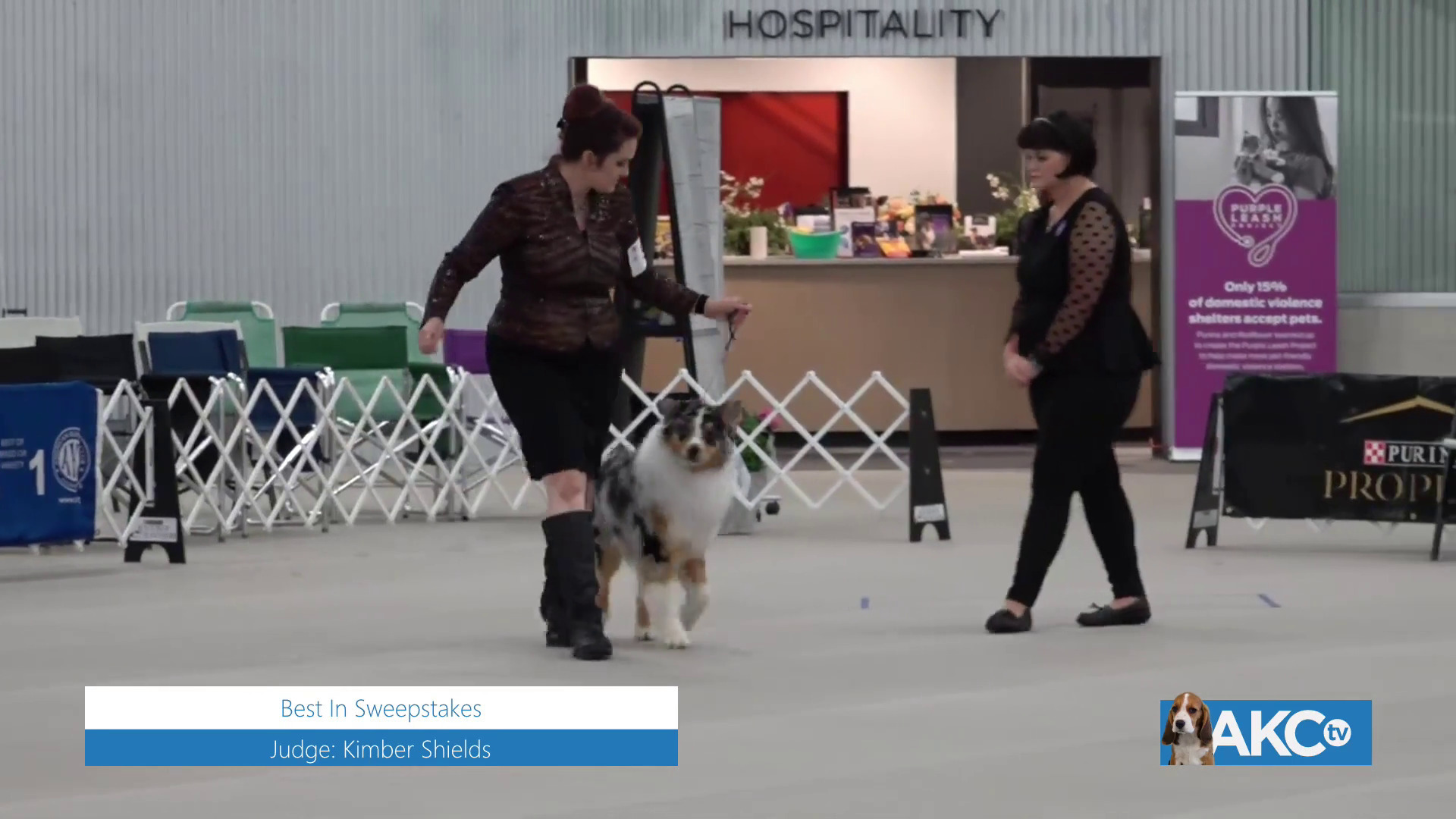 Best In Sweepstakes | AKC.tv