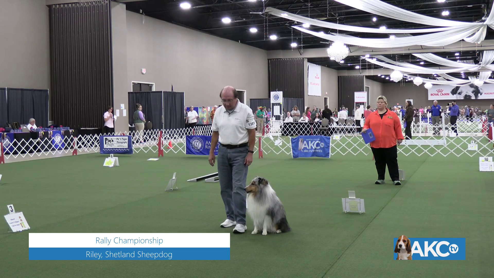 Rally Ring 1 - Saturday - Part 1 | AKC.tv