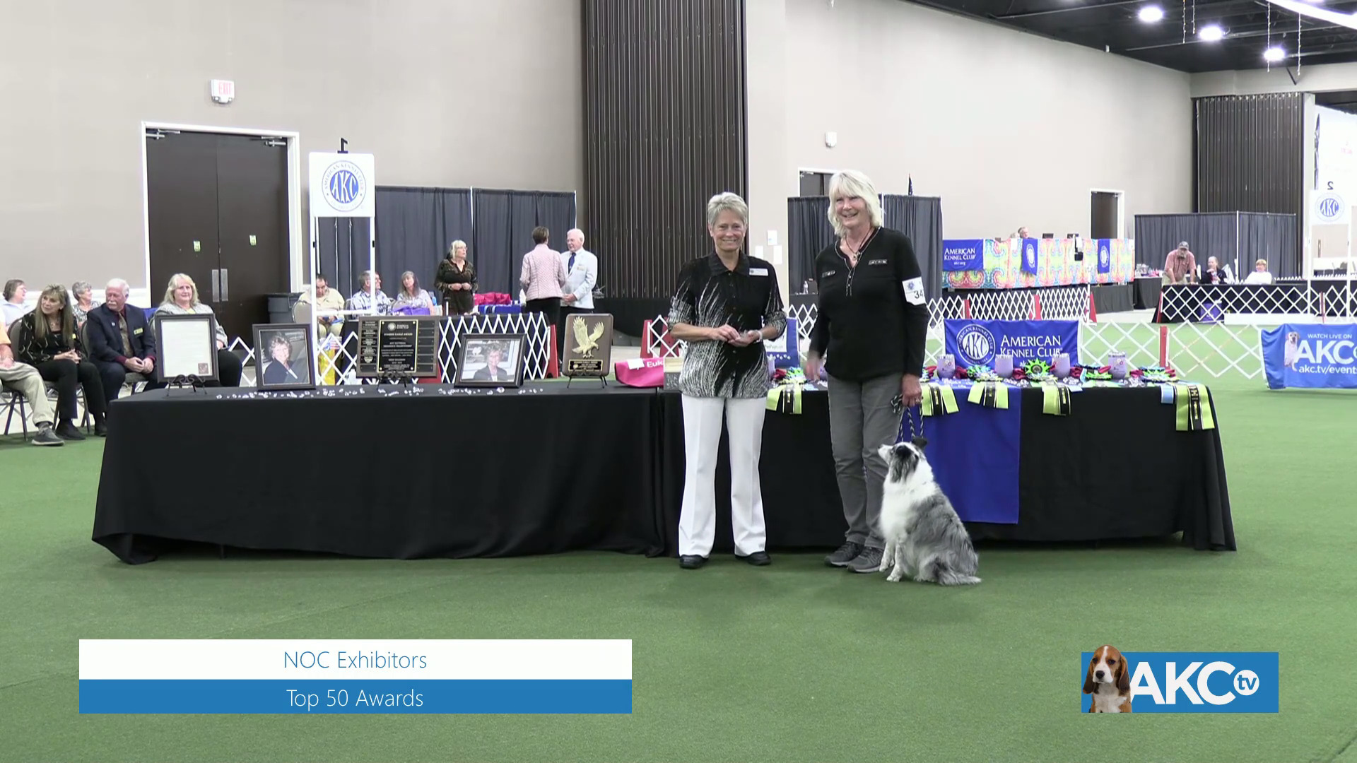 2023 NOC Top 50 Awards | AKC.tv