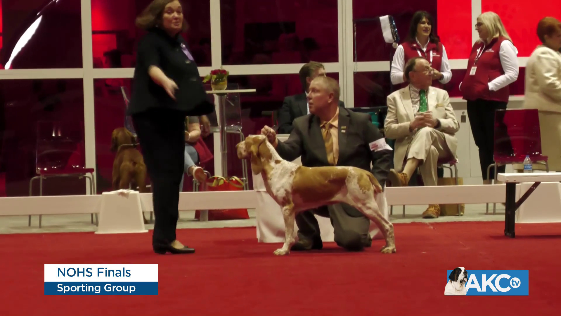 NOHS - Sporting Group | AKC.tv