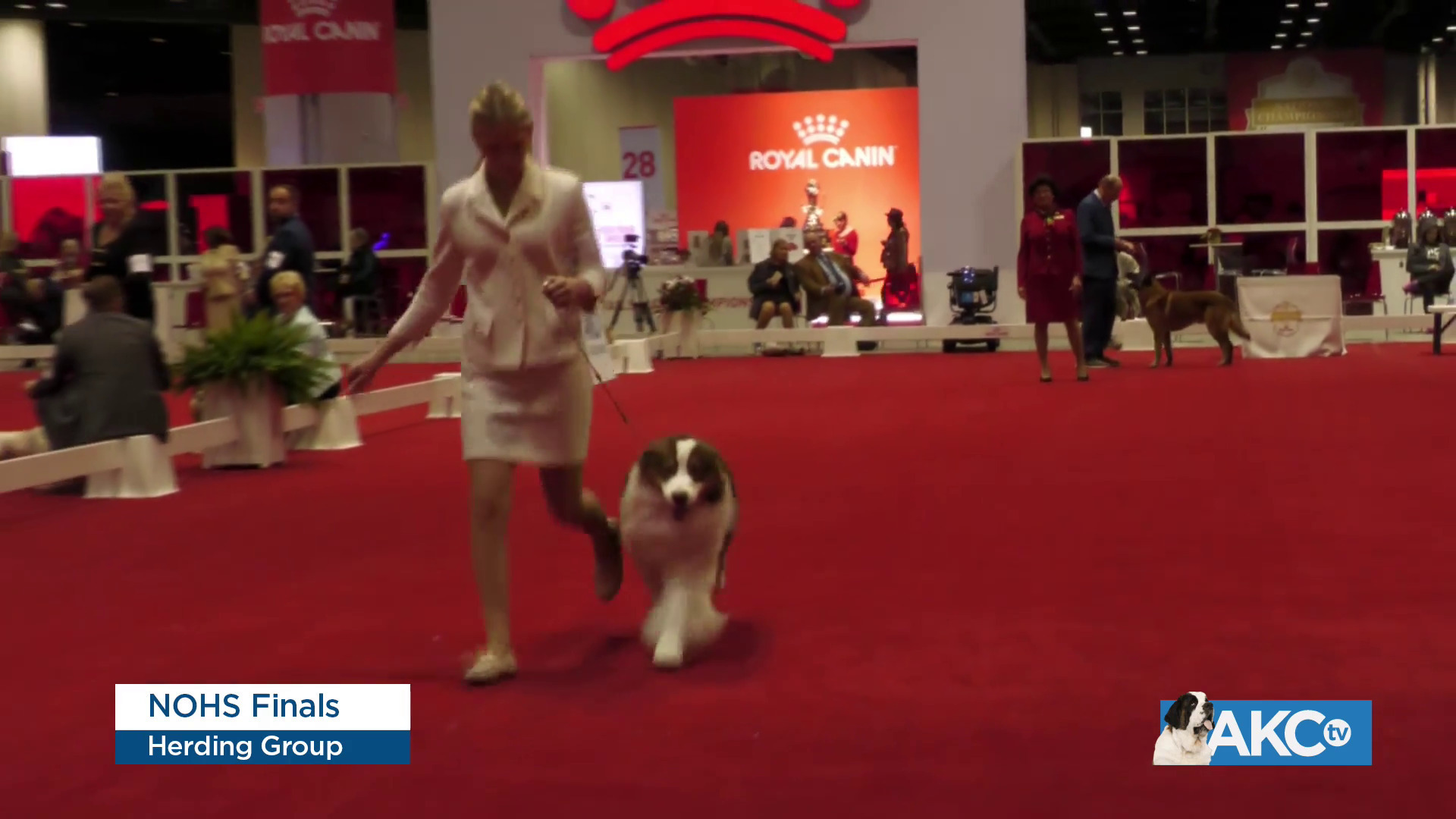 NOHS - Herding Group | AKC.tv