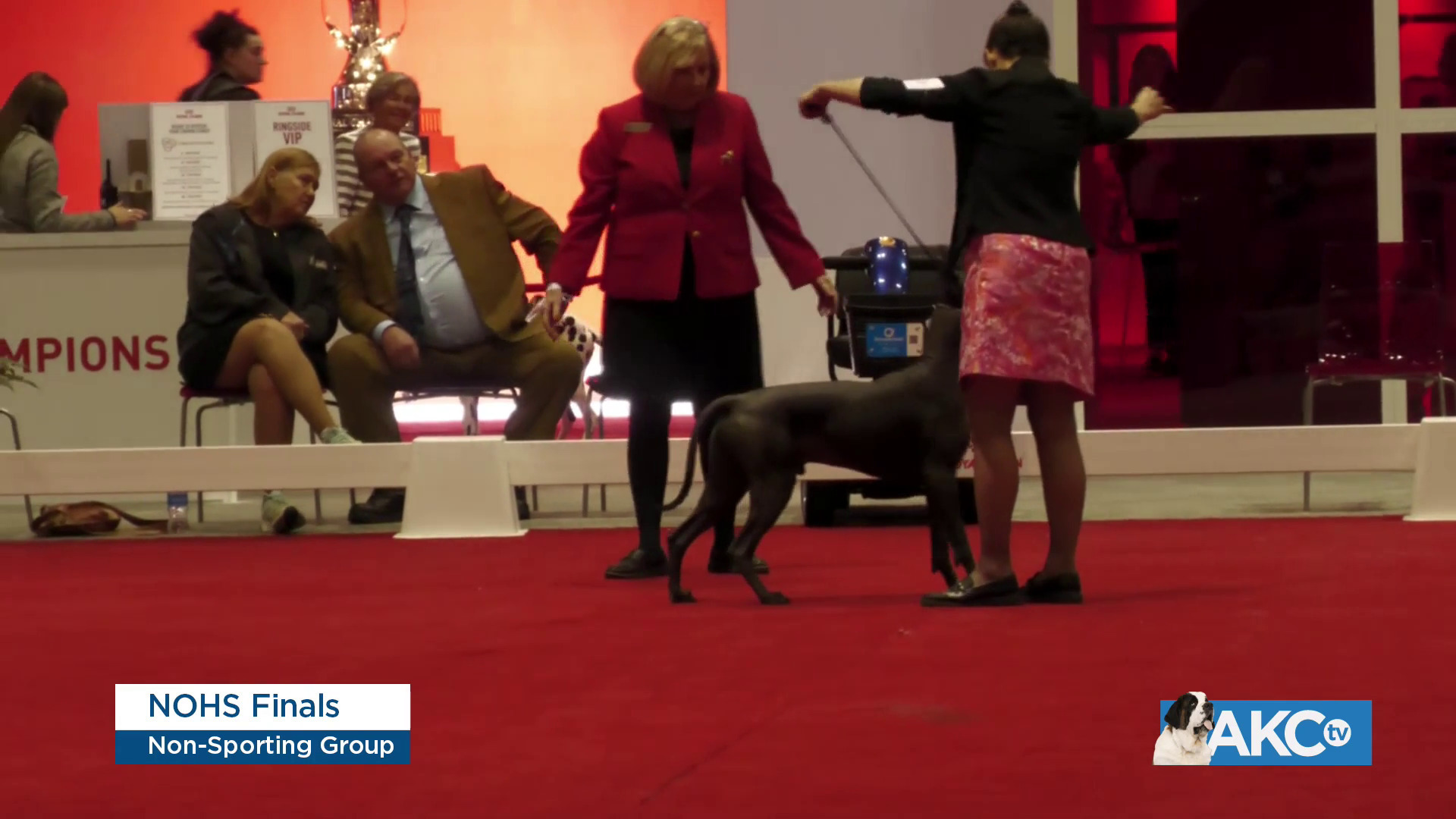 NOHS - Non-Sporting Group | AKC.tv