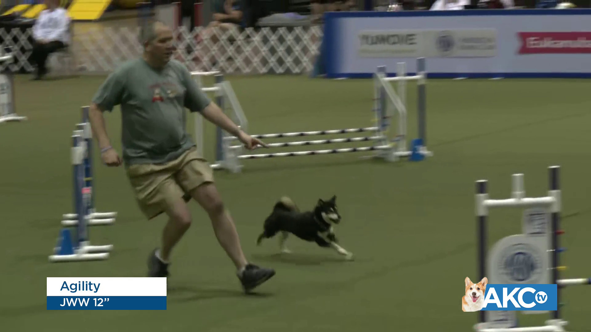JWW 12 Inch | AKC.tv