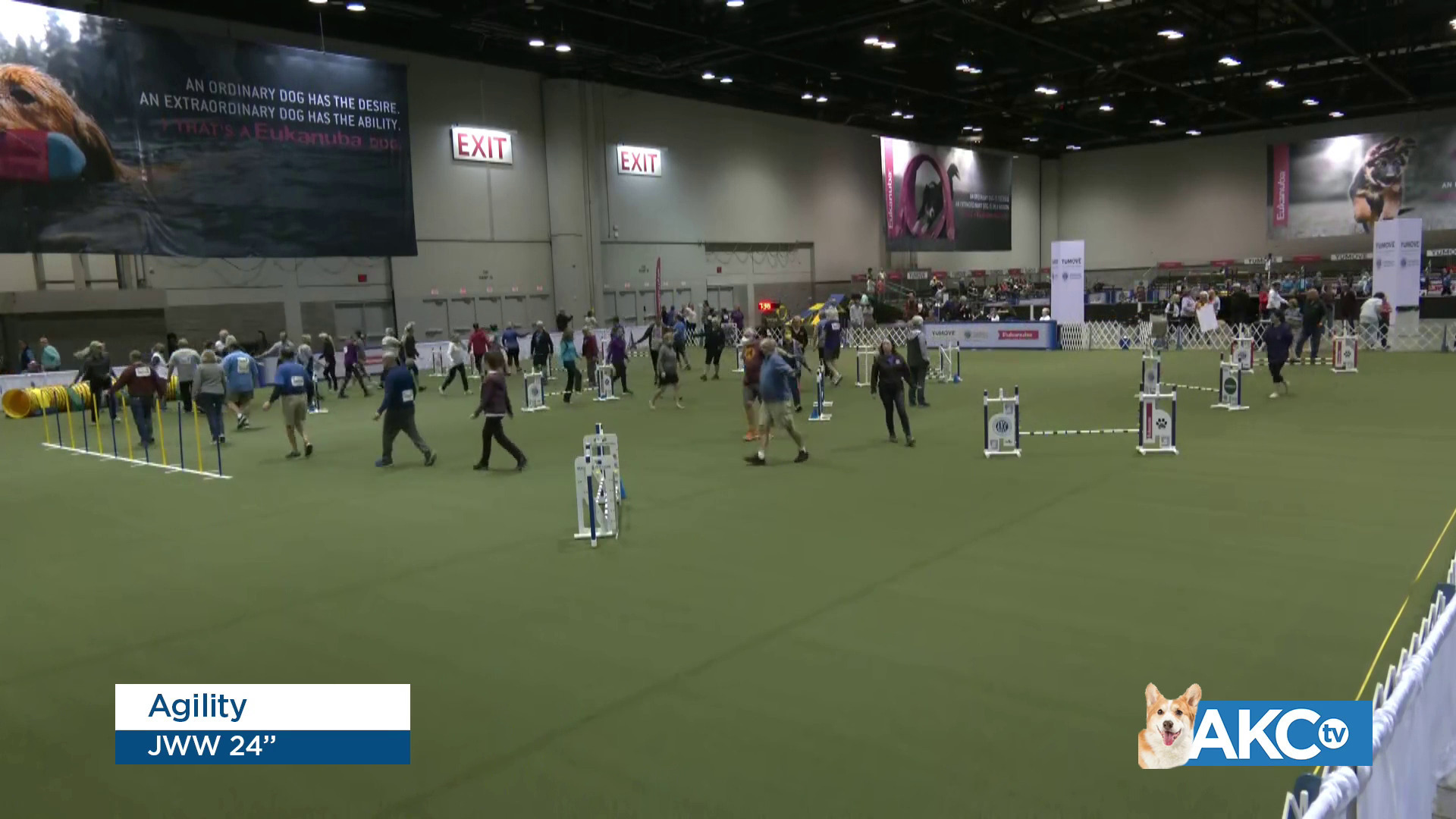 JWW 24 Inch | AKC.tv