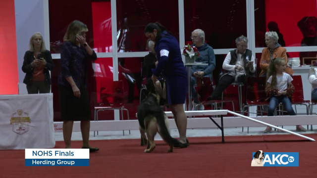 NOHS - Terrier Group | AKC.tv