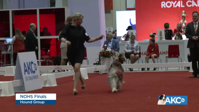 NOHS - Terrier Group | AKC.tv