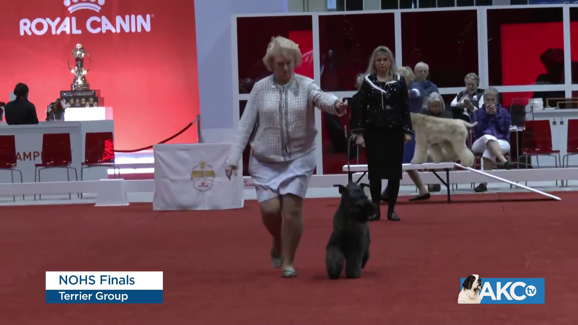 NOHS - Terrier Group | AKC.tv