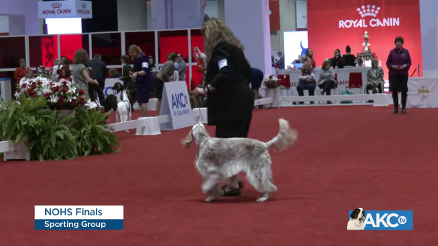 National Owner-Handled Series | AKC.tv