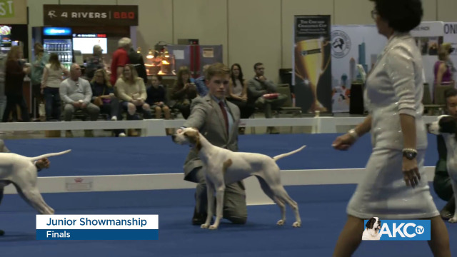 Junior Showmanship | AKC.tv