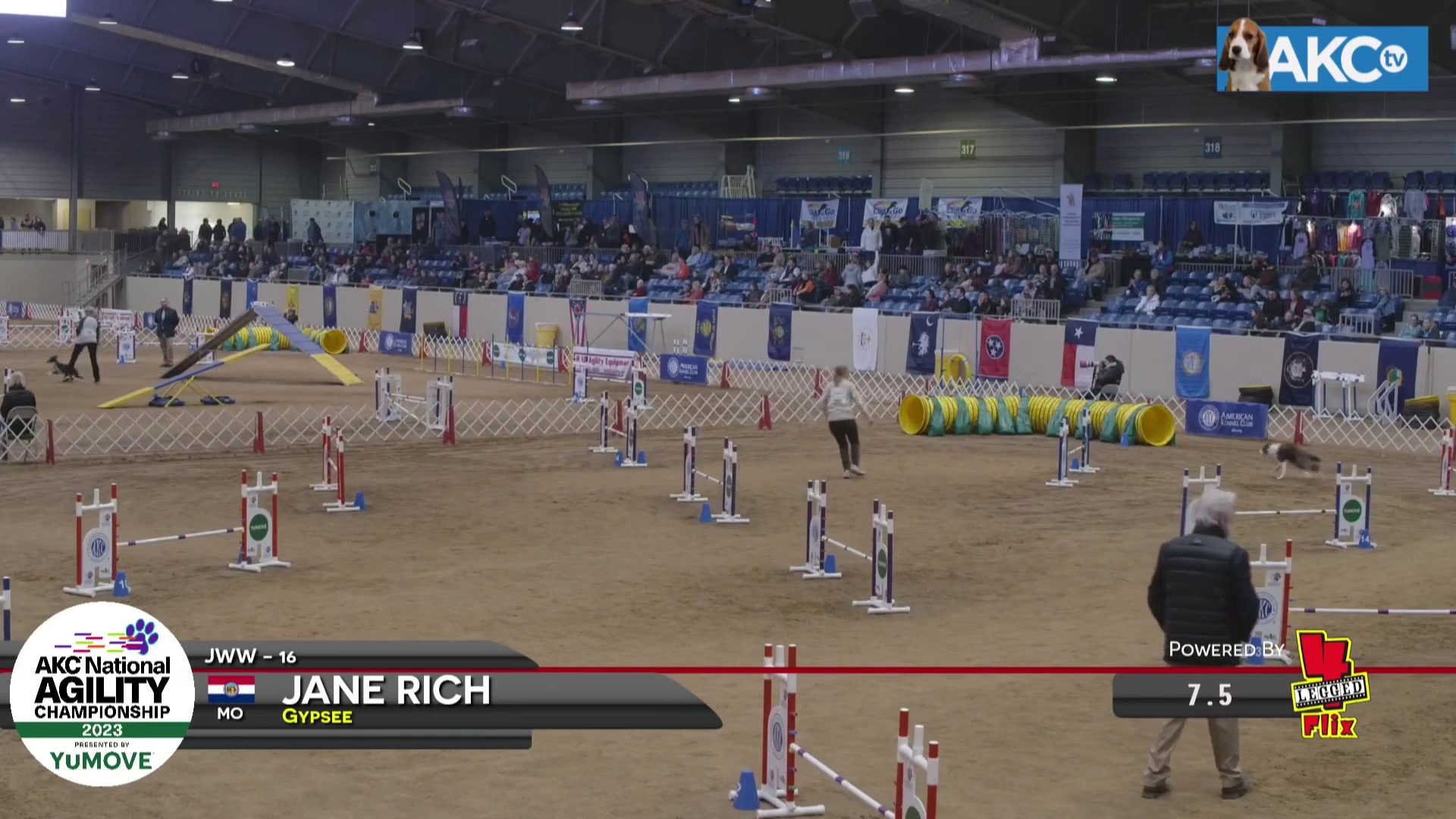 JWW - 16 Inch | AKC.tv