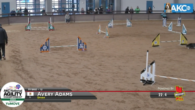 JWW - 12 Inch | AKC.tv