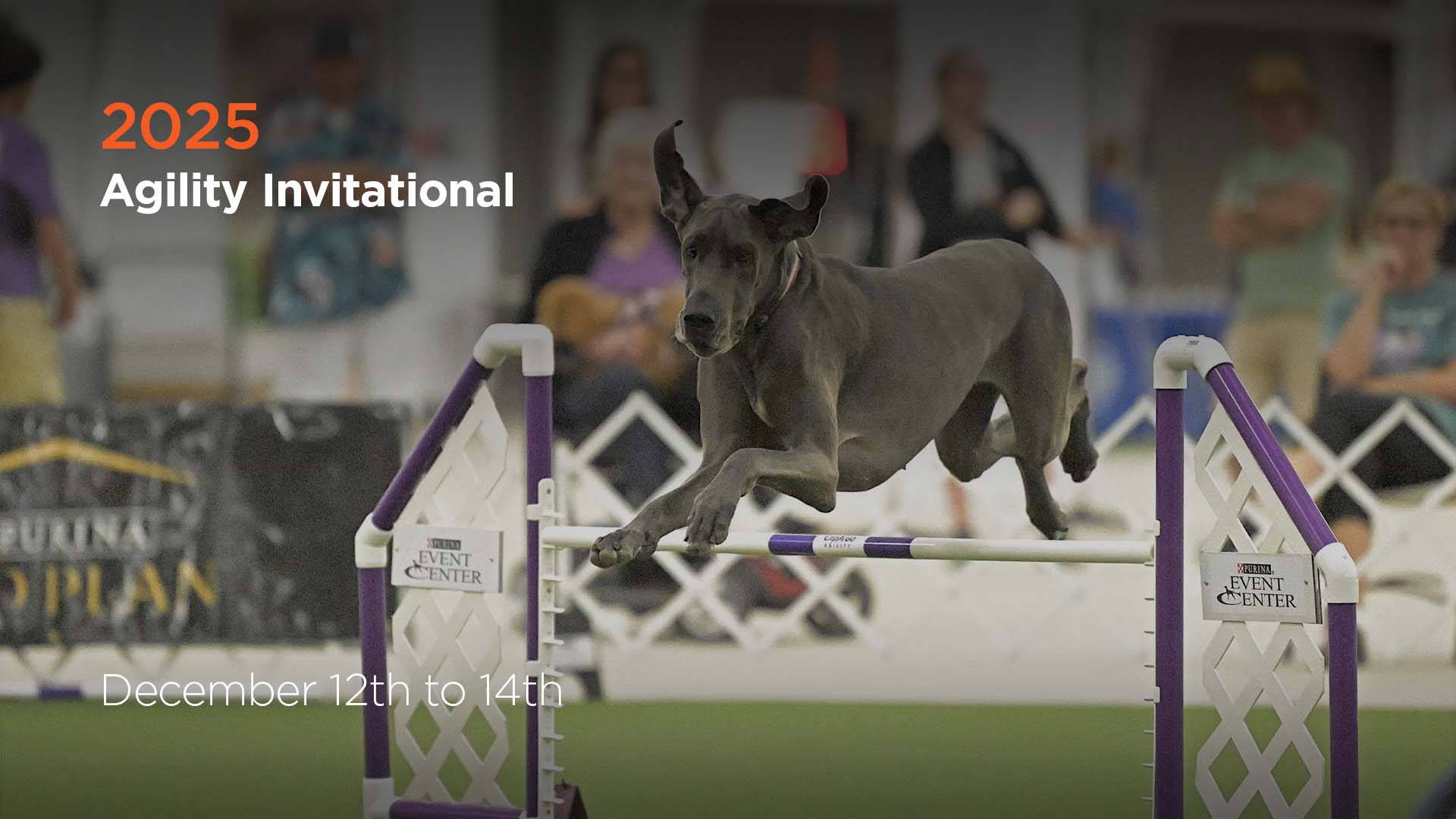 AKCtv Events | AKC.tv