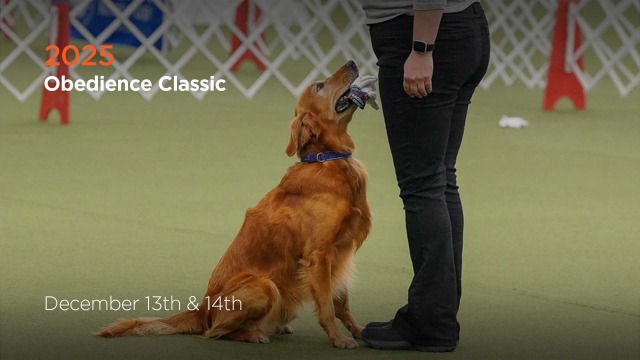 AKCtv Events | AKC.tv