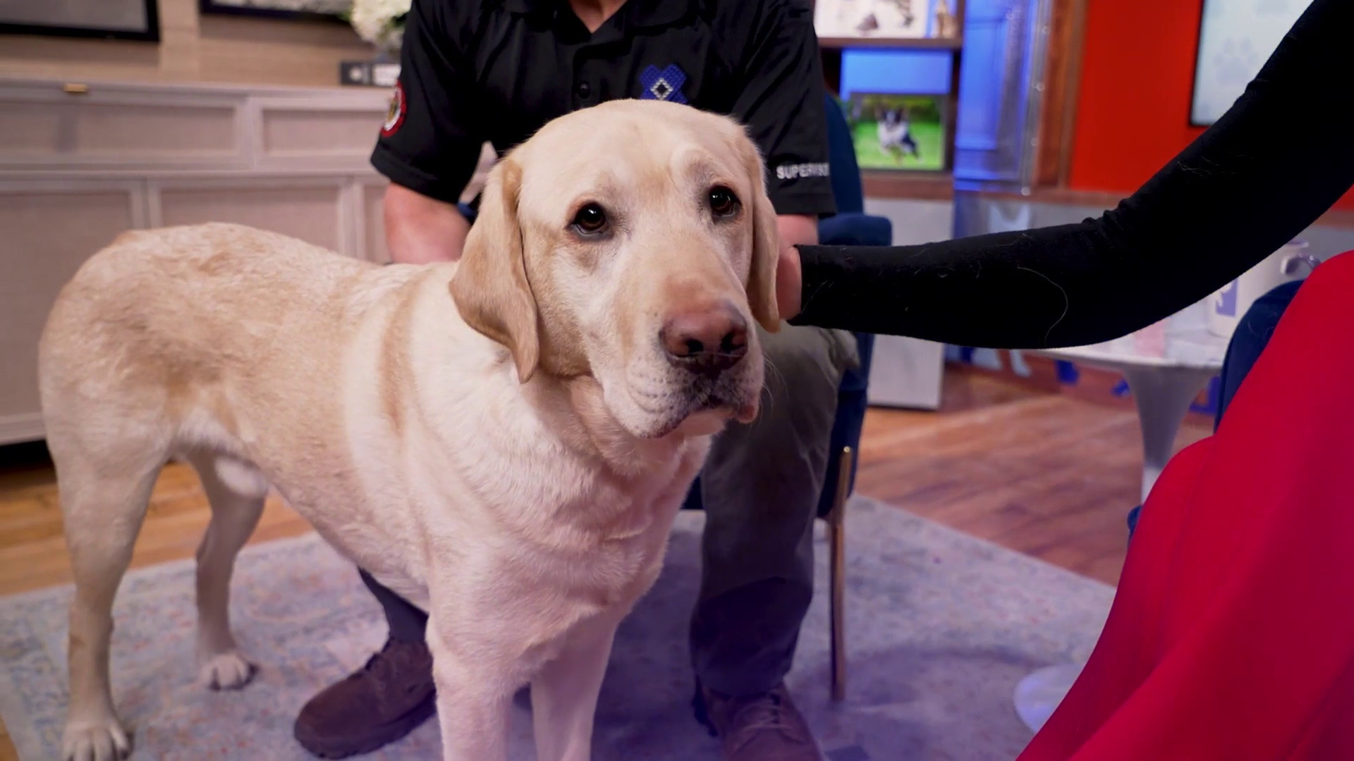 February 27, 2024 | AKC.tv