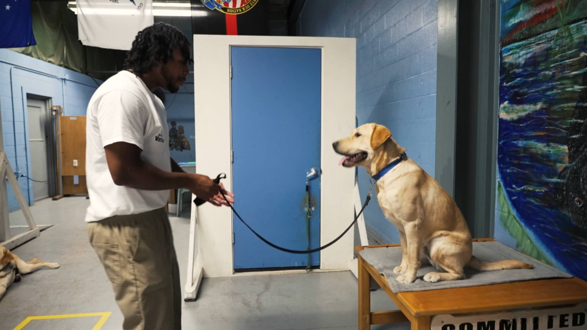 America's VetDogs: Transforming Lives Through Service Dogs and Inmate ...