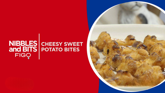 Guiding Eyes for the Blind | AKC.tv