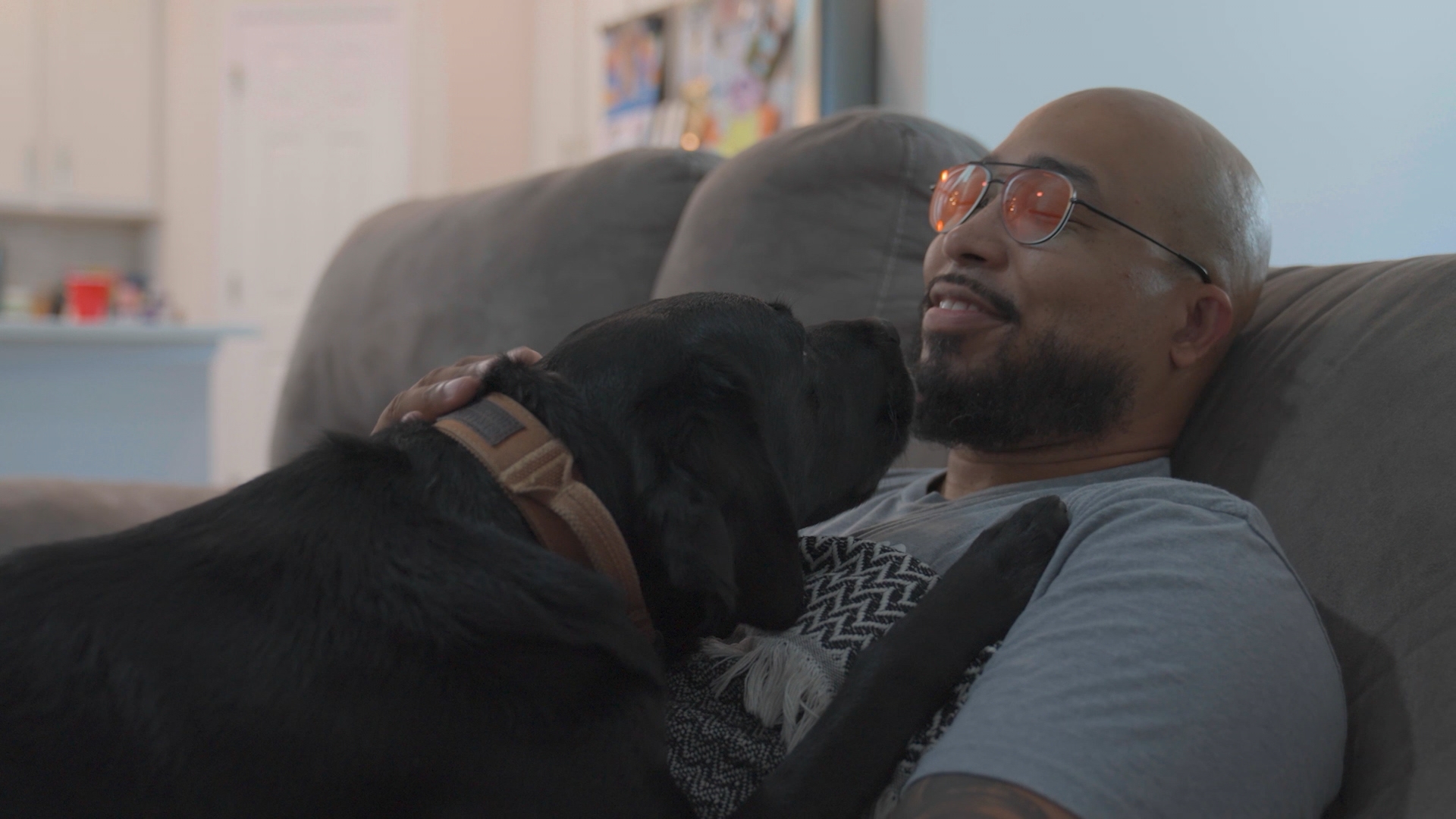 2025 Westminster Highlights & Best in Show Exclusive | AKC.tv