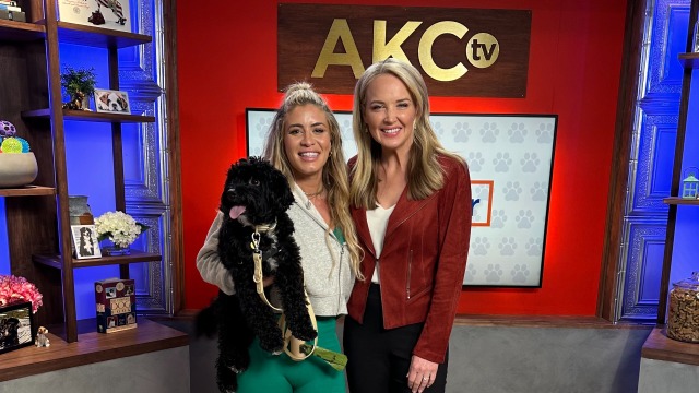 AKC Good Dog TV 2023 | AKC.tv