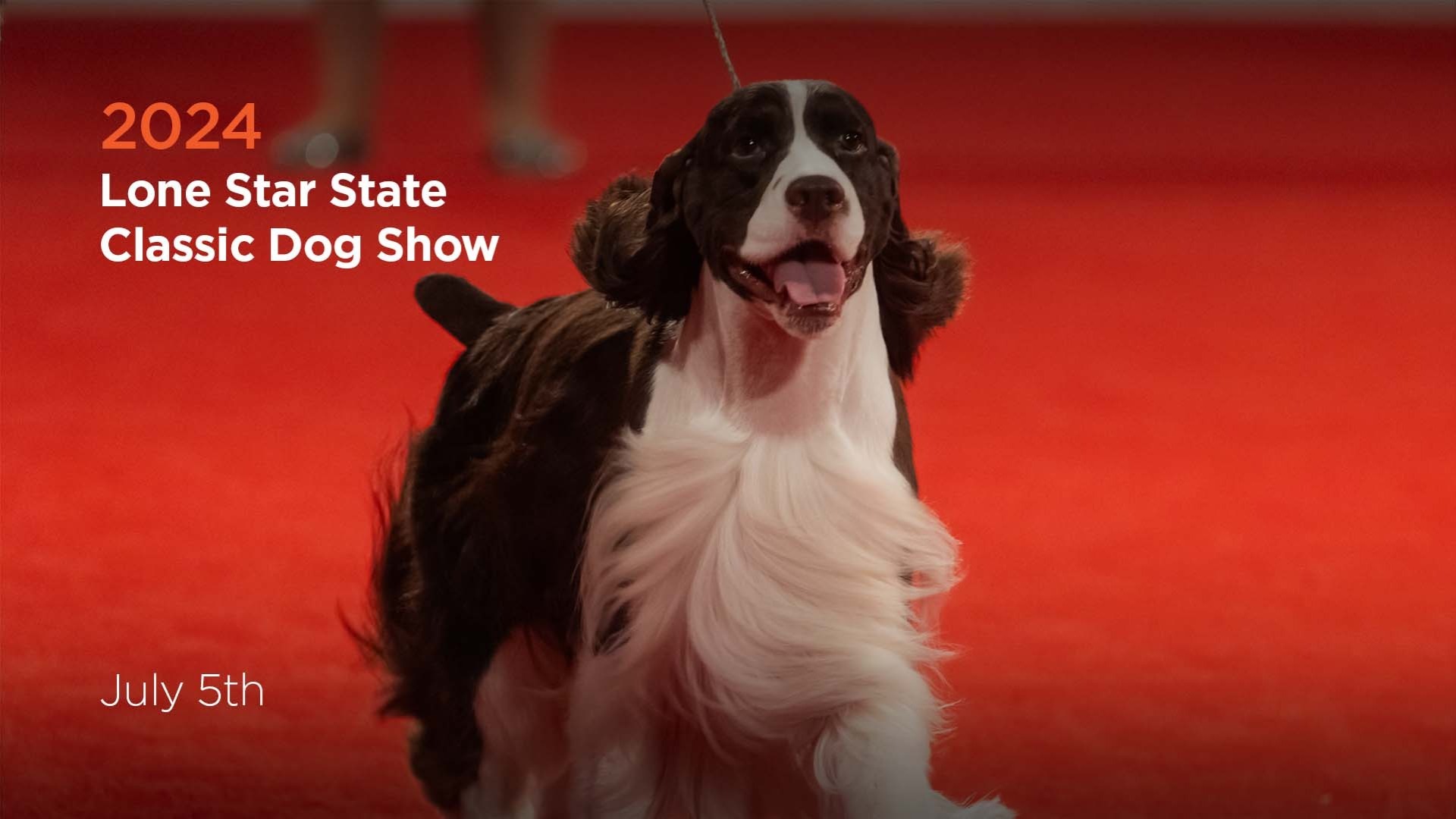 2024 Lone Star State Classic Dog Show - Friday | AKC.tv