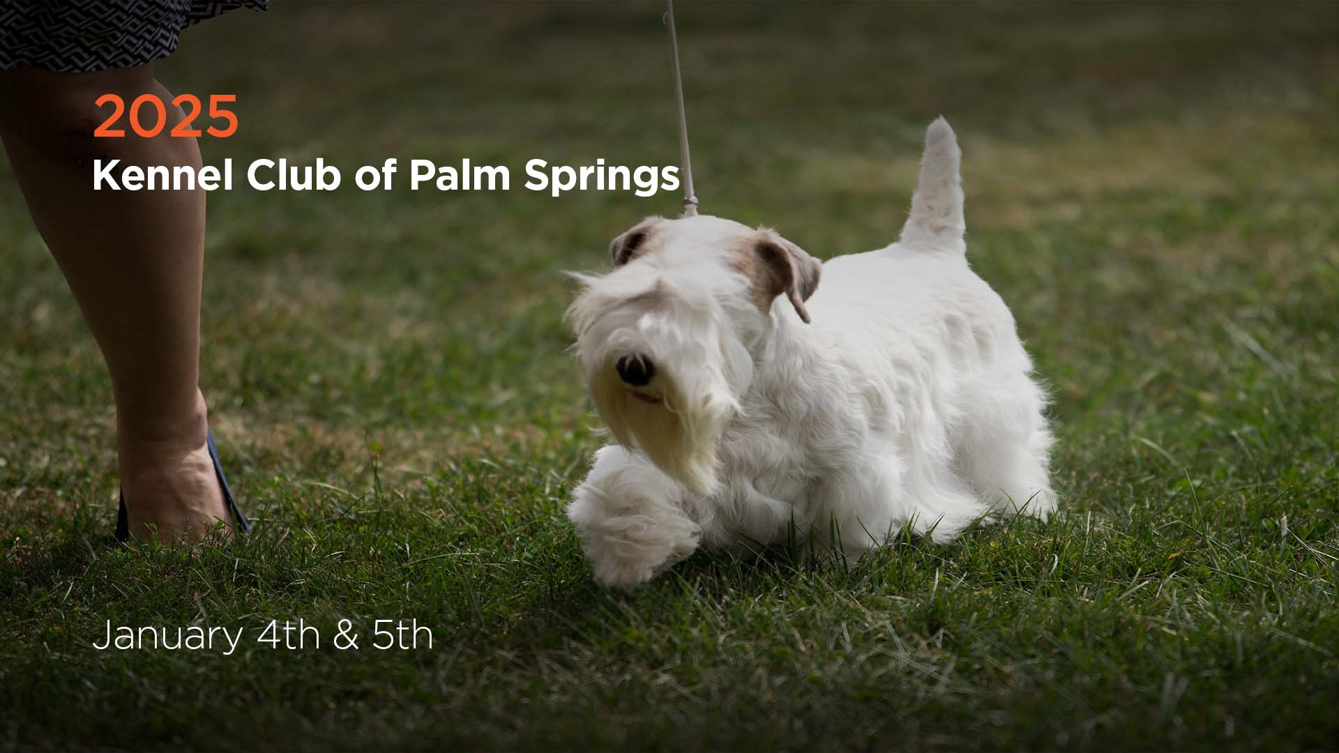 2025 Kennel Club of Palm Springs, Inc. | AKC.tv