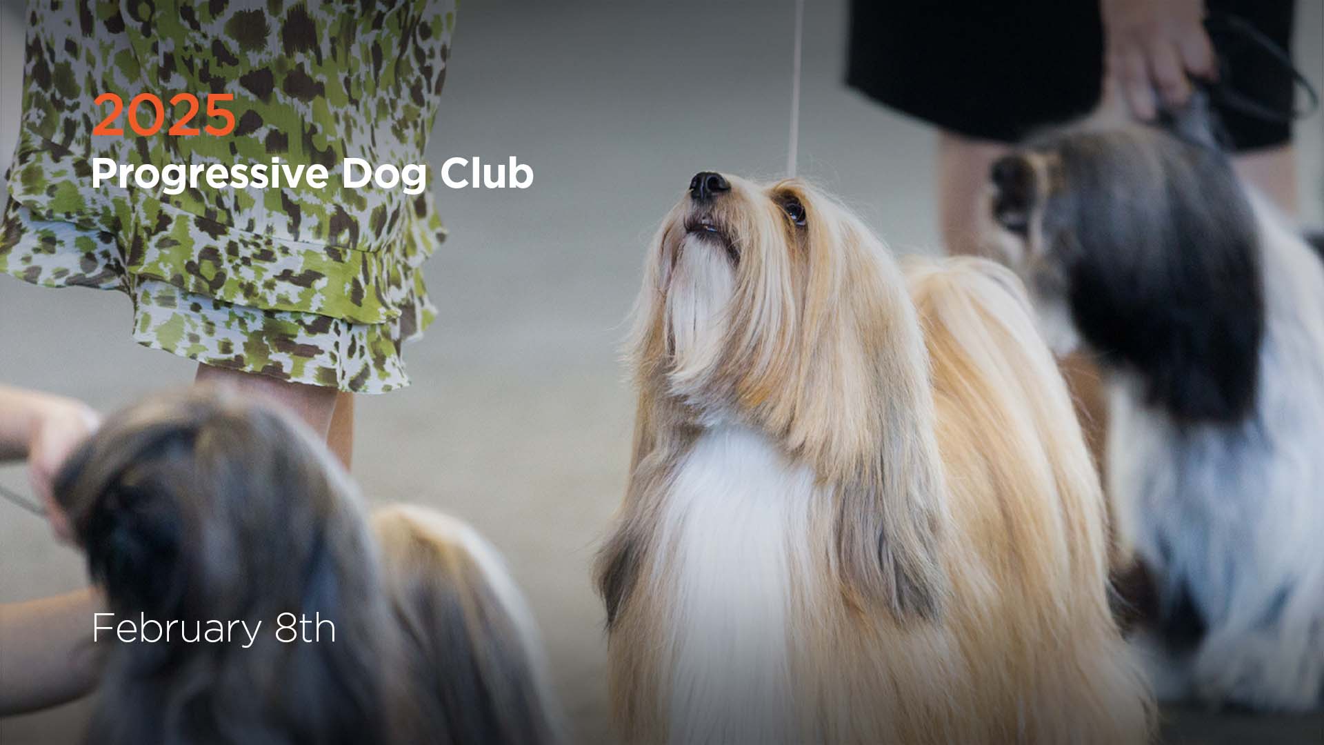 2025 Progressive Dog Club | AKC.tv