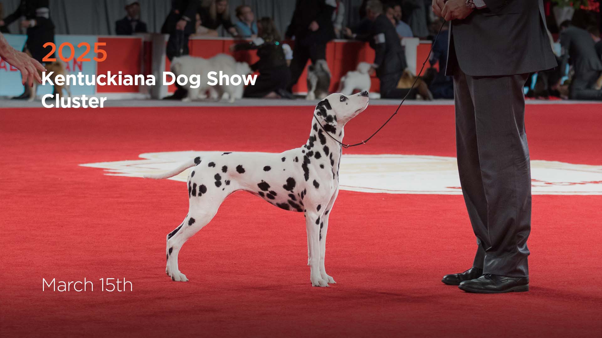 2025 Kentuckiana Dog Show Cluster | AKC.tv
