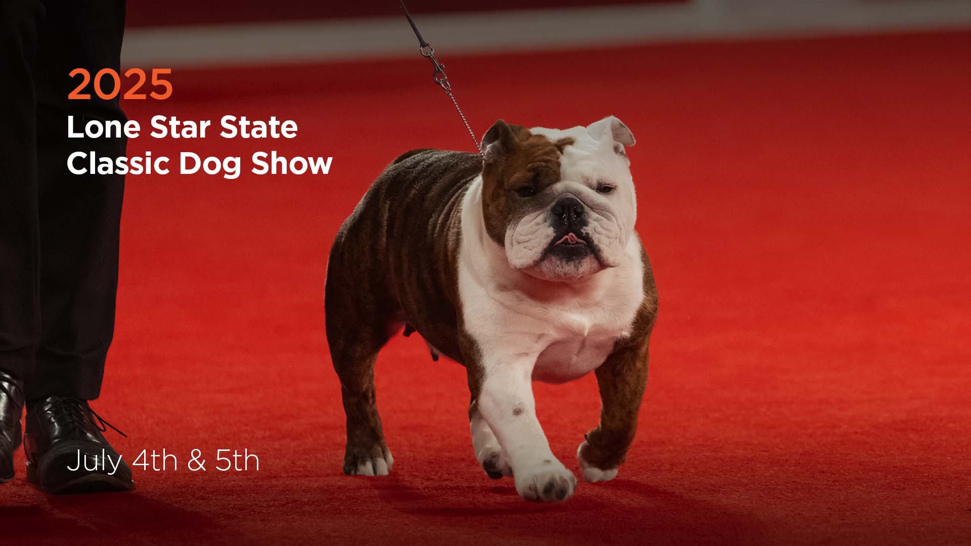 2025 Lone Star State Classic Dog Show | AKC.tv